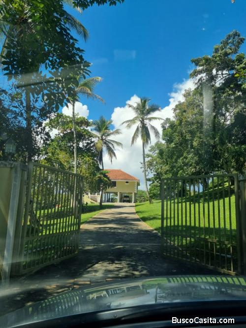 Lakefront Home And Charter Fishing Operation For Sale in Arenosa, La ...