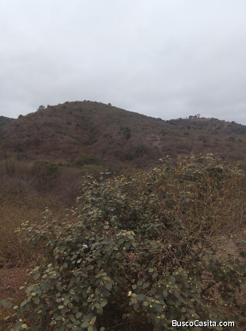 5 hectares 10 acres en Ecuador