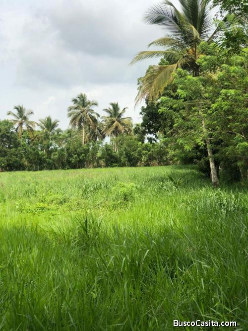 Vendo Excelente Finca de 47 Tareas en el Proyecto de Guanuma, a 40 ...