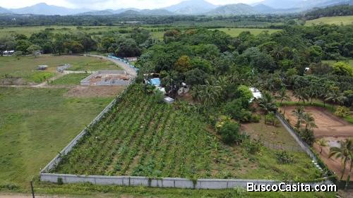 TERRENO DE 10 TAREAS DE VENTA EN BONAO en República Dominicana