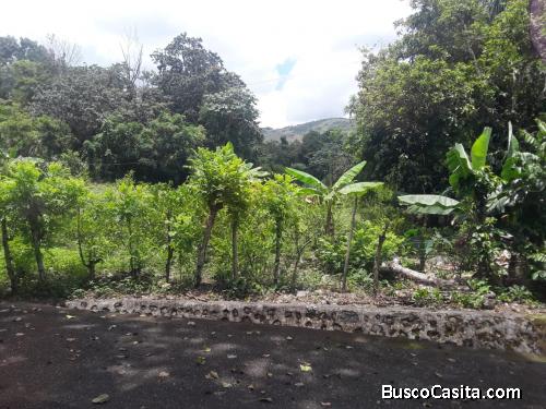 FINCA DE 34 TAREAS DE VENTA EN BONAO en República Dominicana